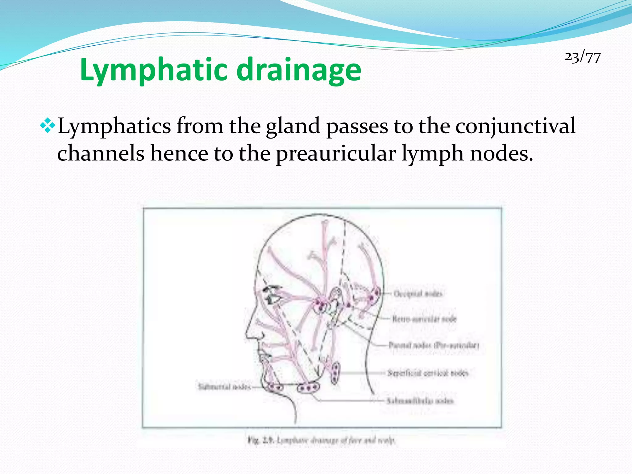 Lacrimal Apparatus: Different structure, Tear Film and Lacrimal Pump | PPTX