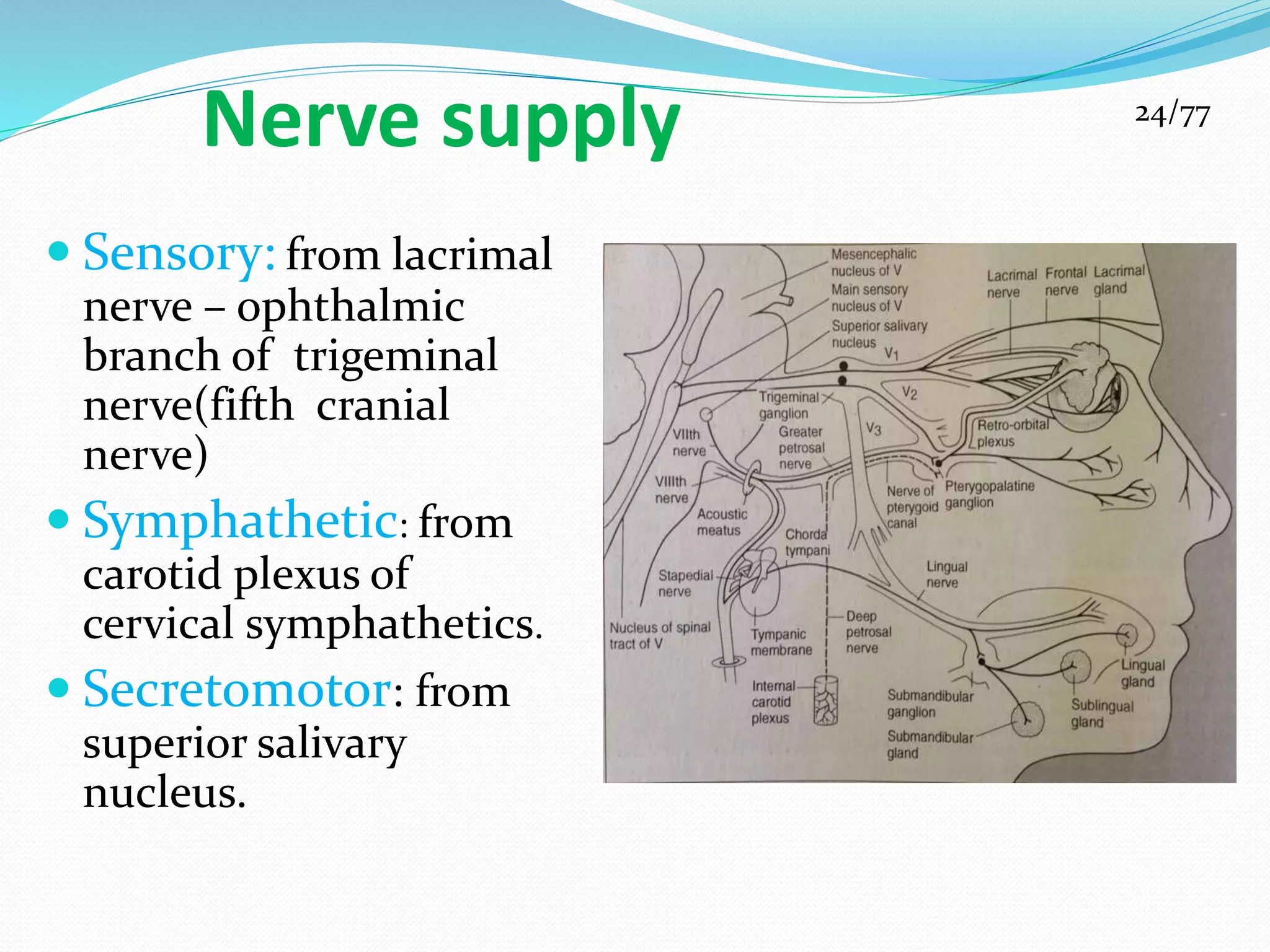 Lacrimal Apparatus: Different structure, Tear Film and Lacrimal Pump | PPTX