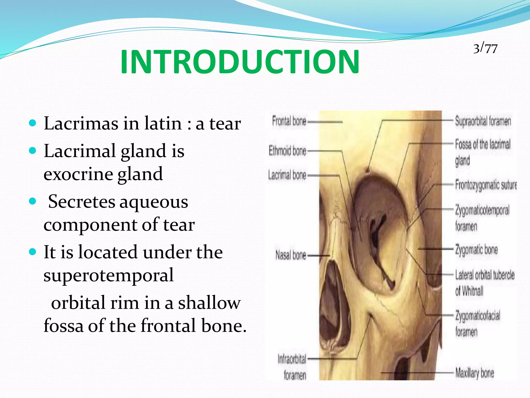 Lacrimal Apparatus: Different structure, Tear Film and Lacrimal Pump | PPTX