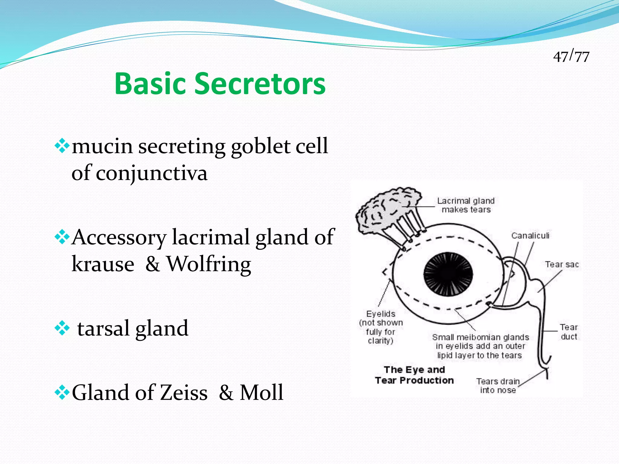 Lacrimal Apparatus: Different structure, Tear Film and Lacrimal Pump | PPTX