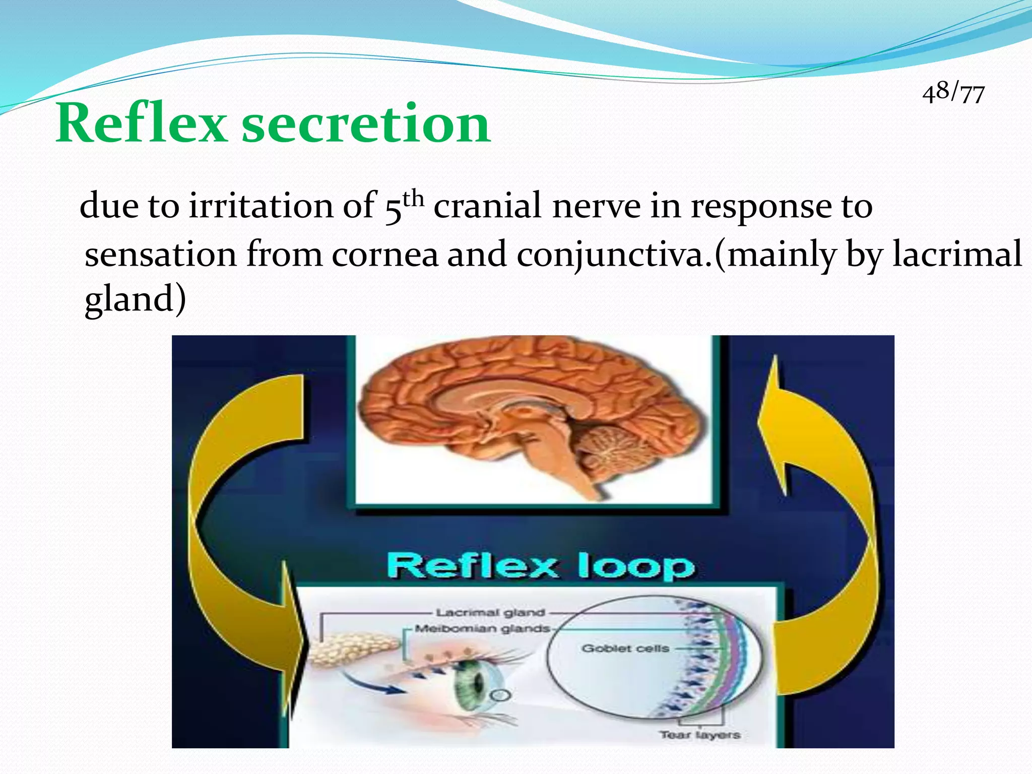 Lacrimal Apparatus: Different structure, Tear Film and Lacrimal Pump | PPTX