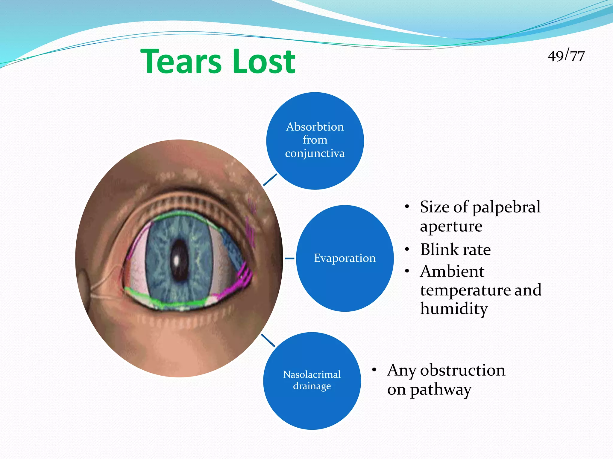 Lacrimal Apparatus: Different structure, Tear Film and Lacrimal Pump | PPTX