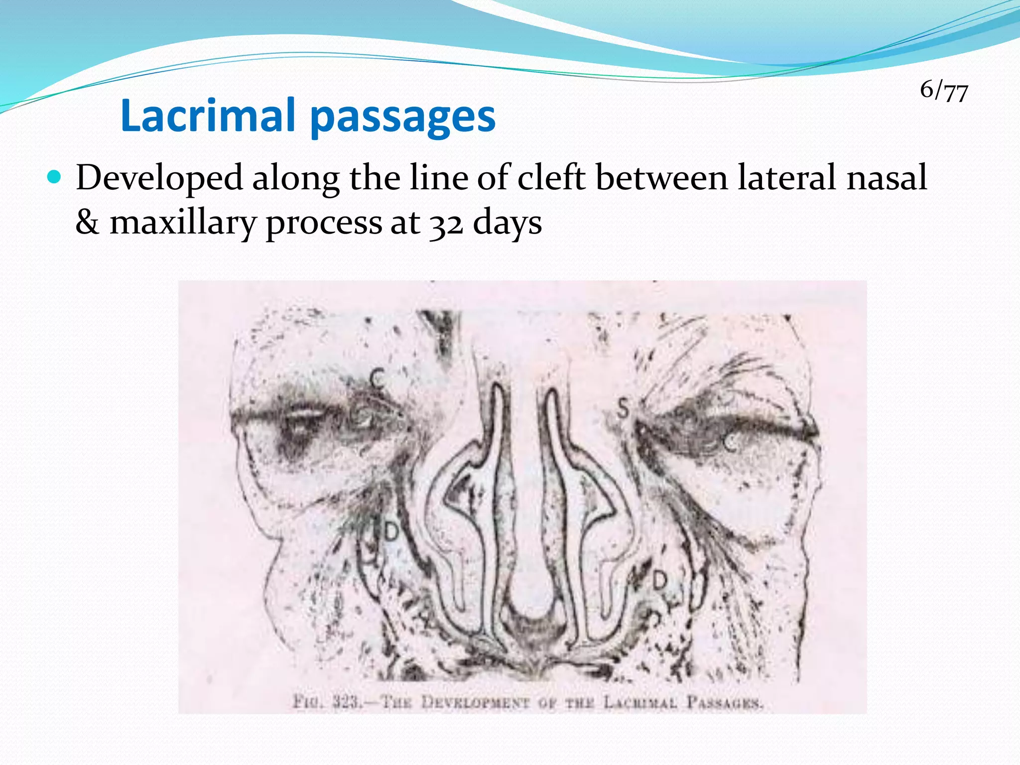 Lacrimal Apparatus: Different structure, Tear Film and Lacrimal Pump | PPTX