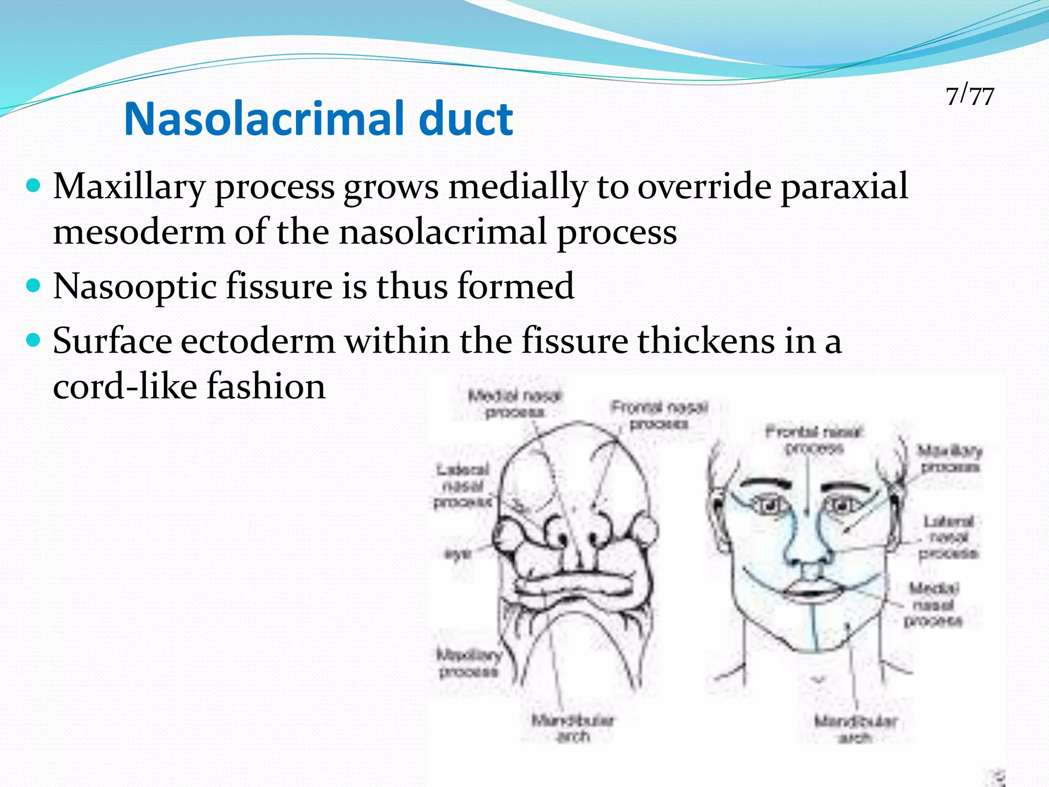 Lacrimal Apparatus: Different structure, Tear Film and Lacrimal Pump | PPTX