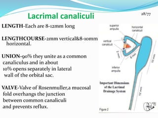 Lacrimal Apparatus: Different structure, Tear Film and Lacrimal Pump | PPTX
