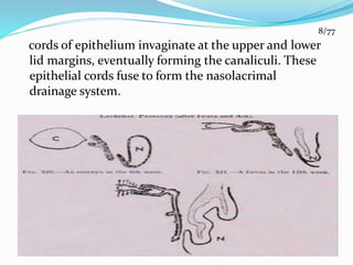 Lacrimal Apparatus: Different structure, Tear Film and Lacrimal Pump | PPTX