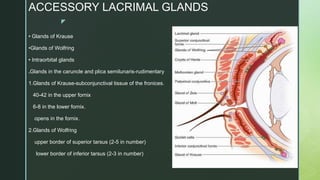 lacrimal app.pptx