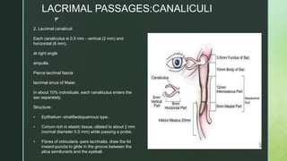 lacrimal app.pptx
