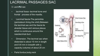 lacrimal app.pptx
