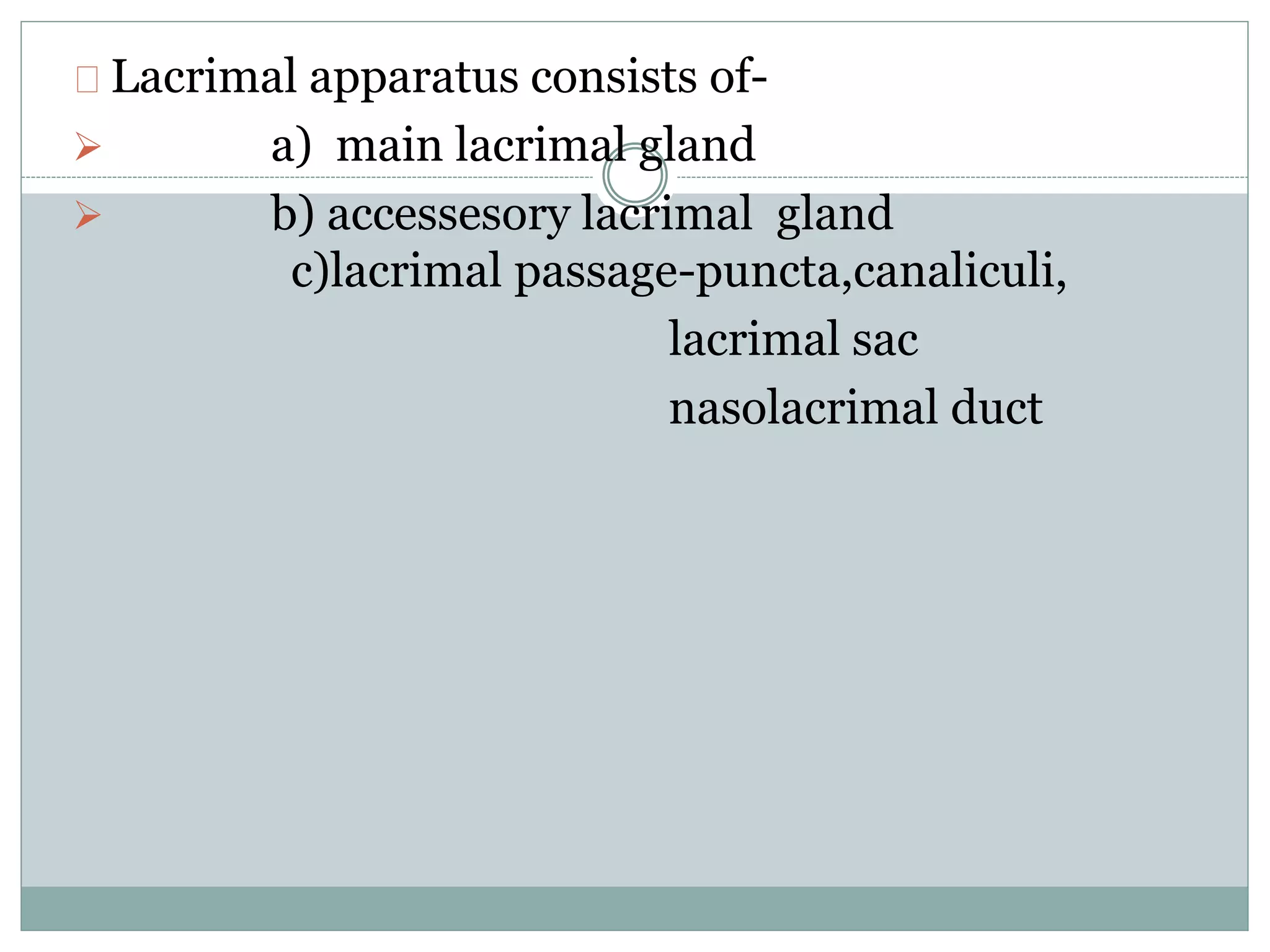 Lacrimal apparatus anatomy by Dr sravani | PPTX