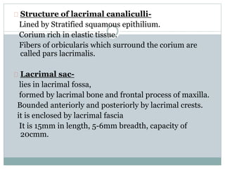 Lacrimal apparatus anatomy by Dr sravani | PPTX