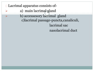 Lacrimal apparatus anatomy by Dr sravani | PPTX