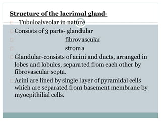 Lacrimal apparatus anatomy by Dr sravani | PPTX