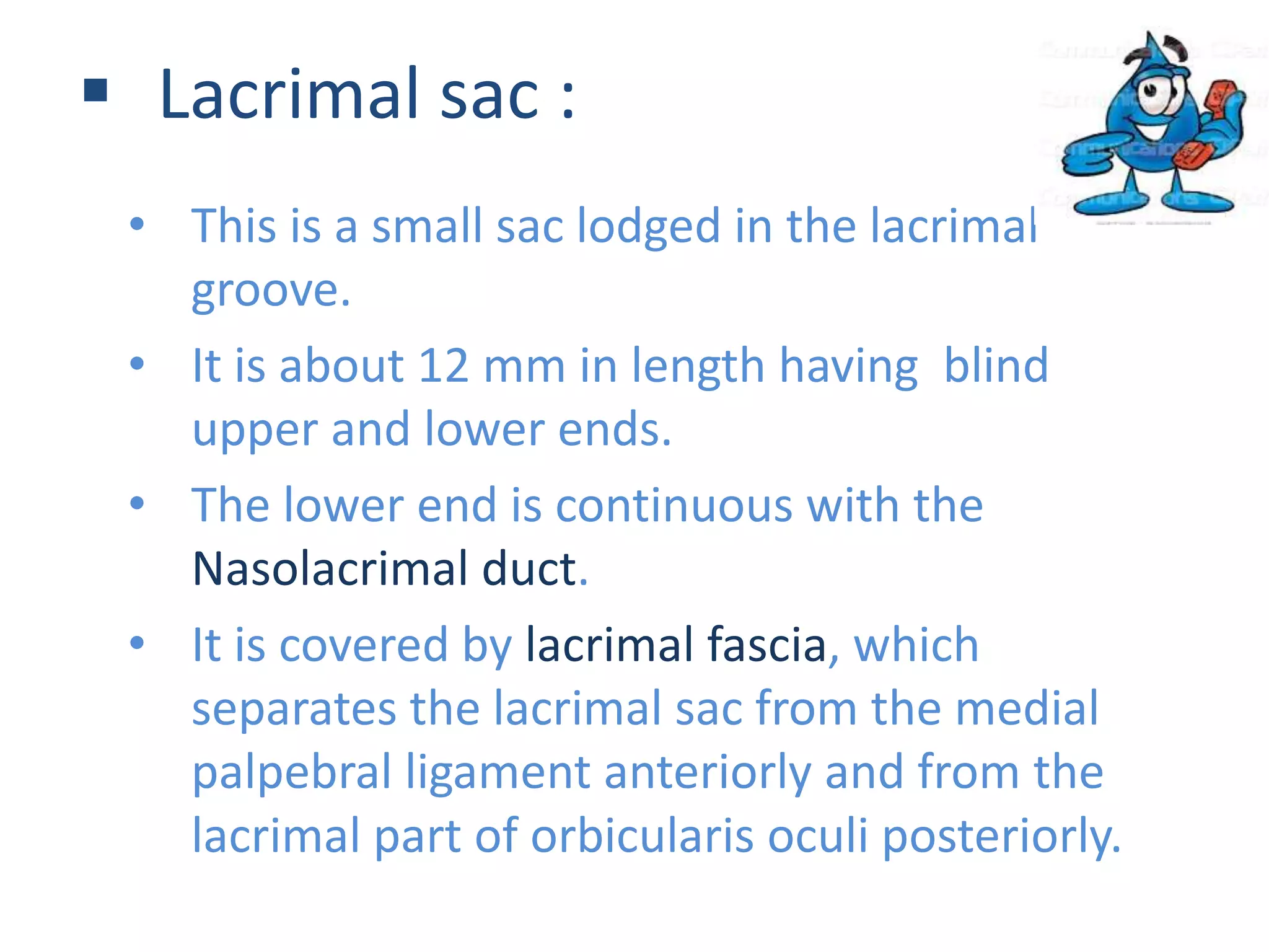 Lacrimal apparatus | PPTX