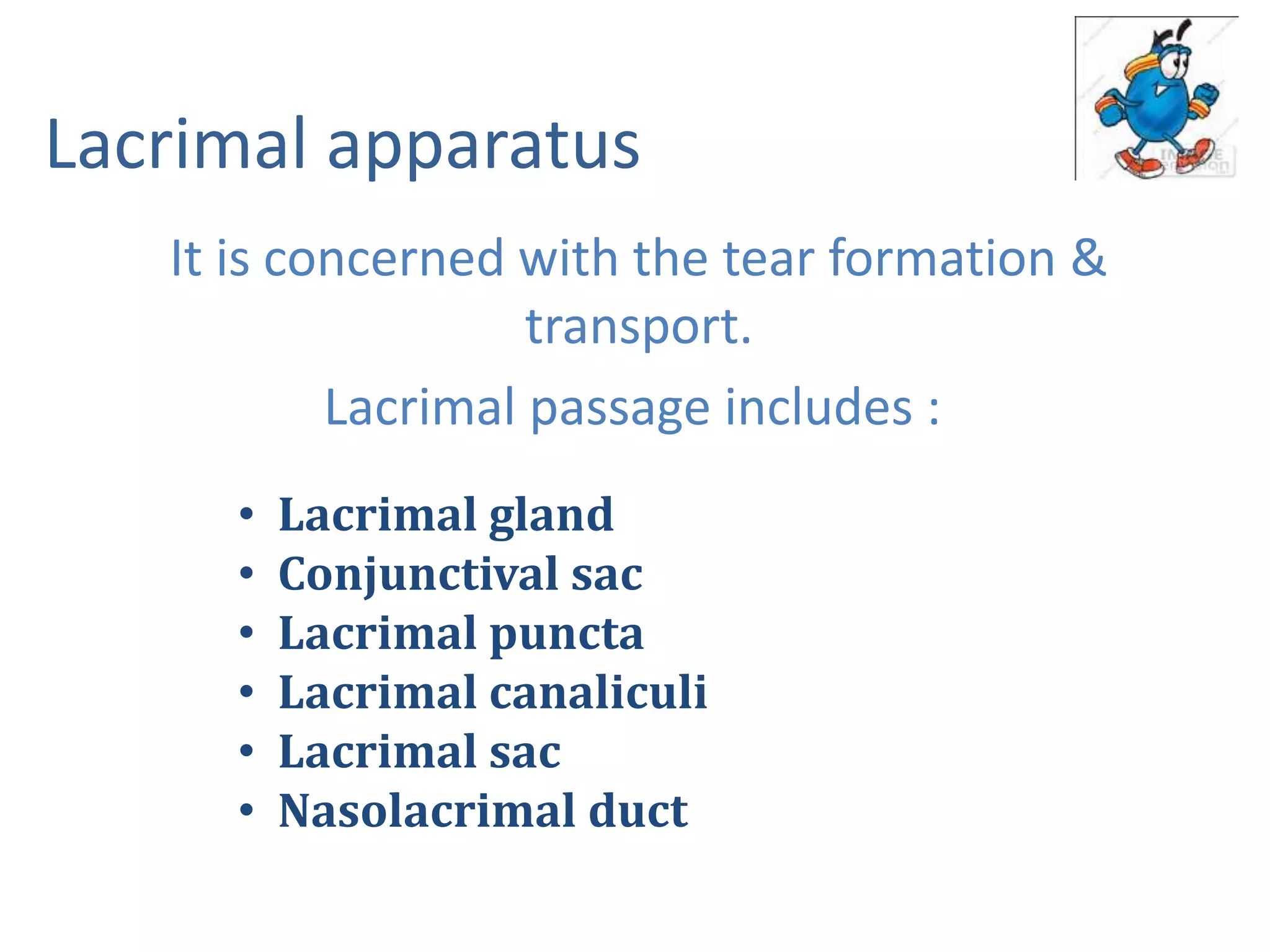 Lacrimal apparatus | PPTX