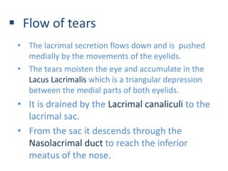 Lacrimal apparatus | PPTX