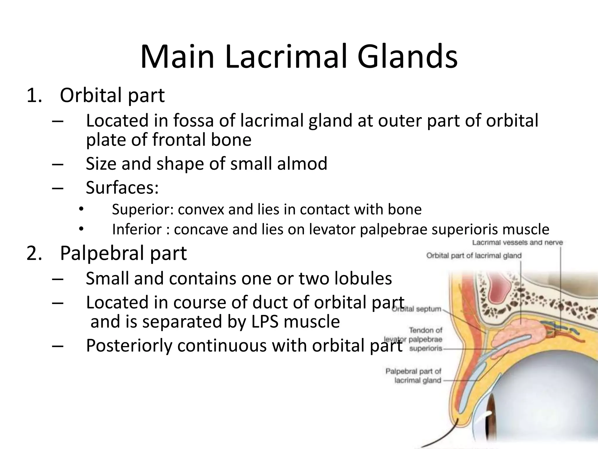 Lacrimal apparatus | PPTX