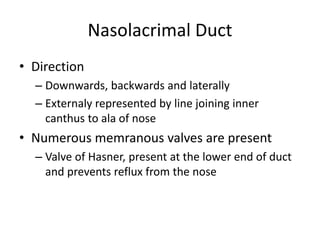 Lacrimal apparatus | PPTX