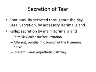 Lacrimal apparatus | PPTX