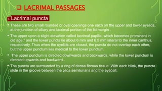 LACRIMAL APPARATUS.pptx