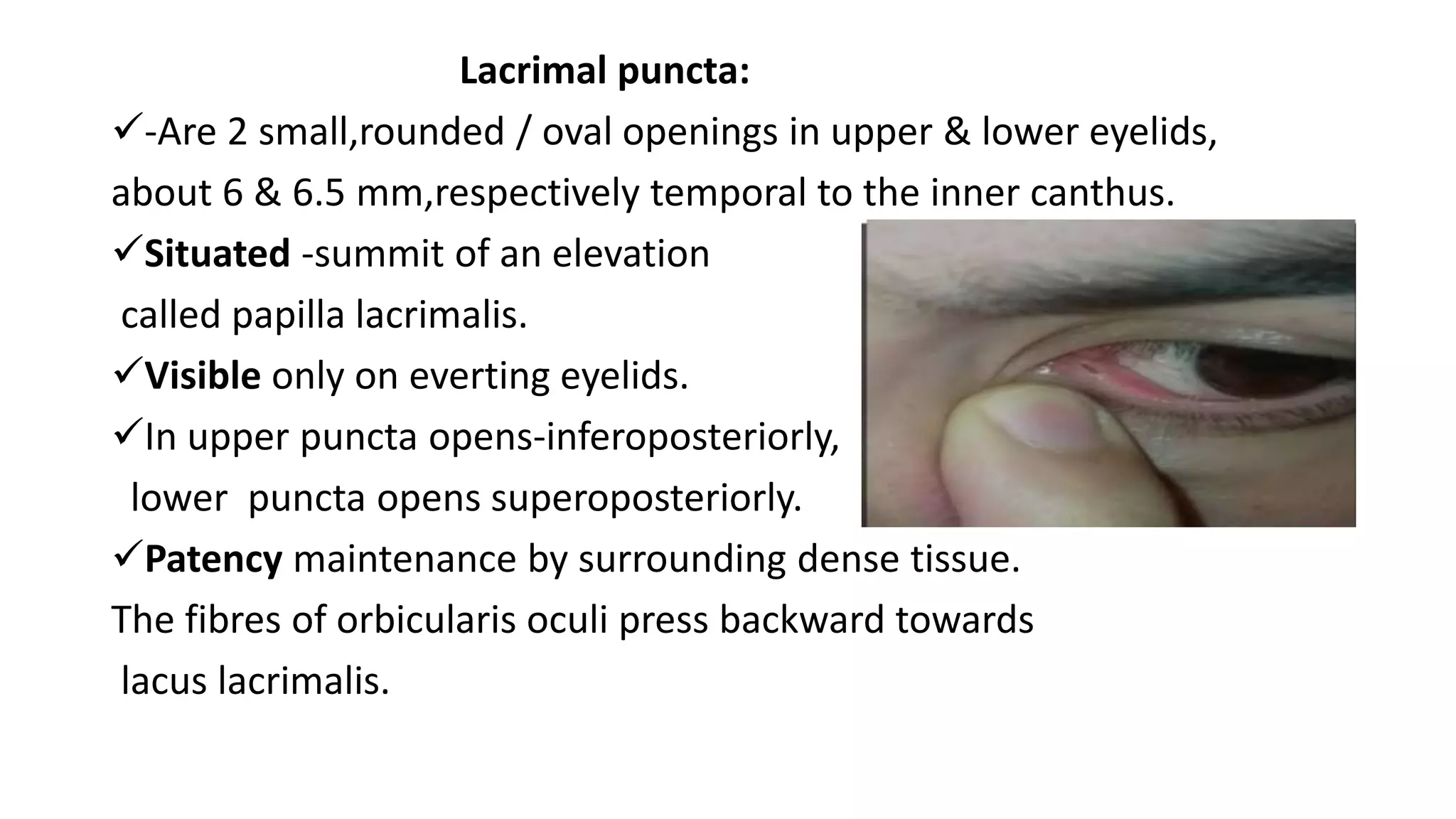 LACRIMAL APPARATUS.pptx | Eye and Vision Conditions | Diseases and ...
