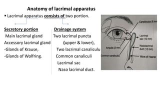 LACRIMAL APPARATUS.pptx