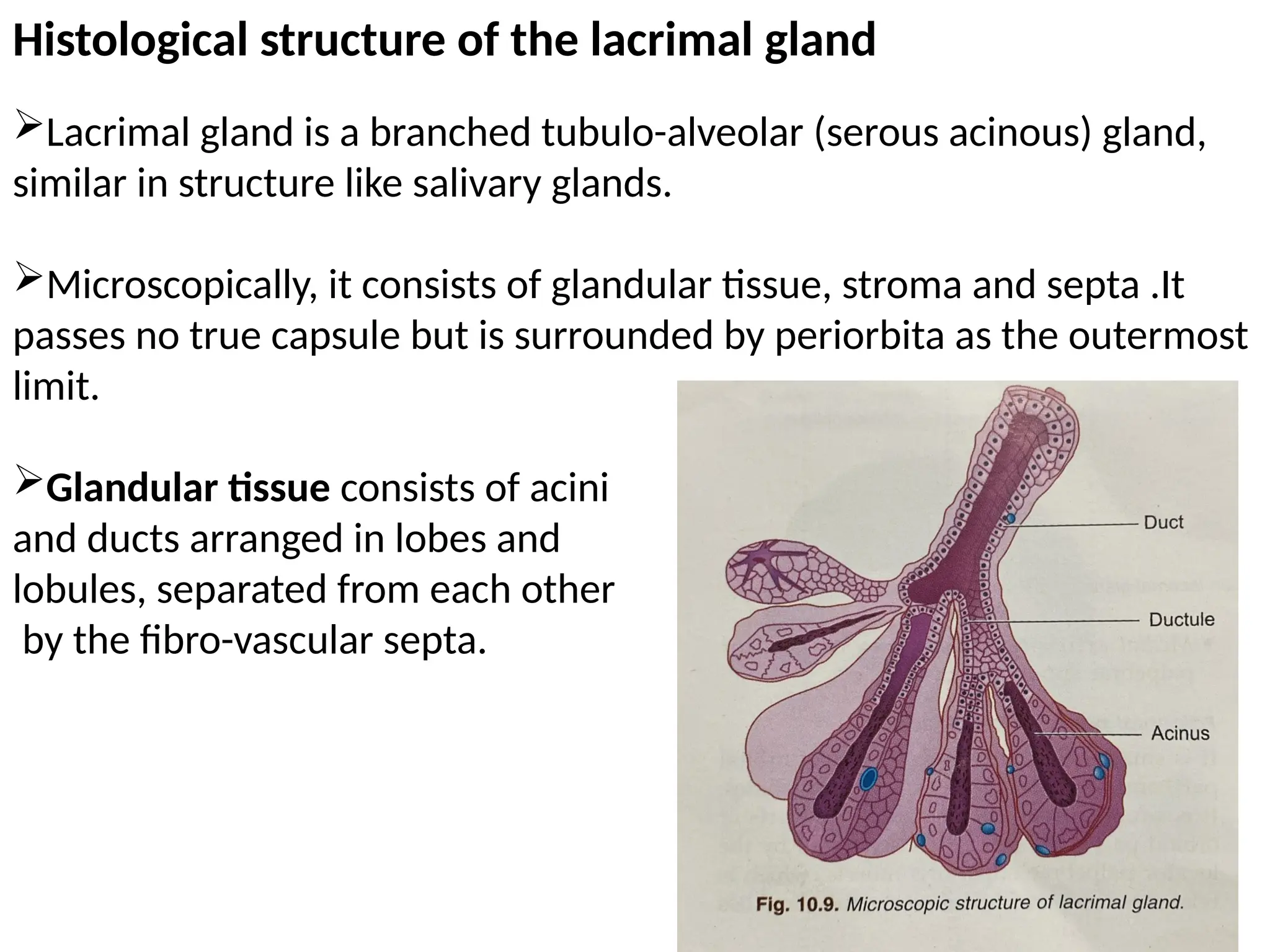 LACRIMAL APPARATUS.pptx LACRIMAL APPARATUS.pptx