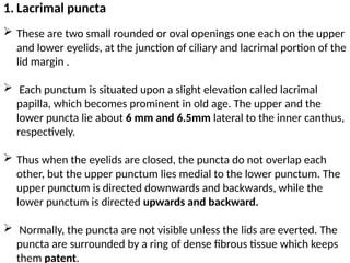 LACRIMAL APPARATUS.pptx LACRIMAL APPARATUS.pptx
