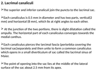 LACRIMAL APPARATUS.pptx LACRIMAL APPARATUS.pptx