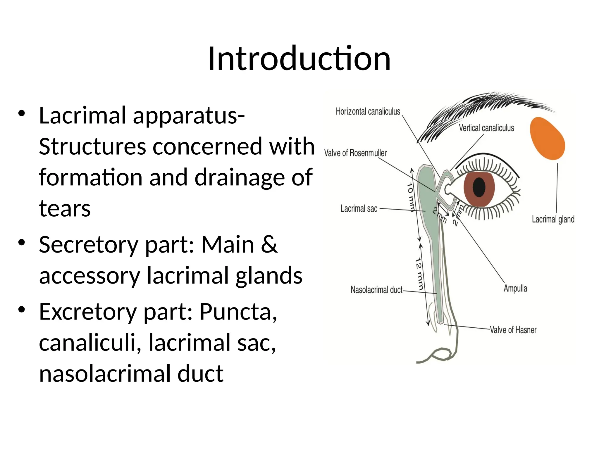 Lacrimal_Apparatus and associated diseases | PPTX