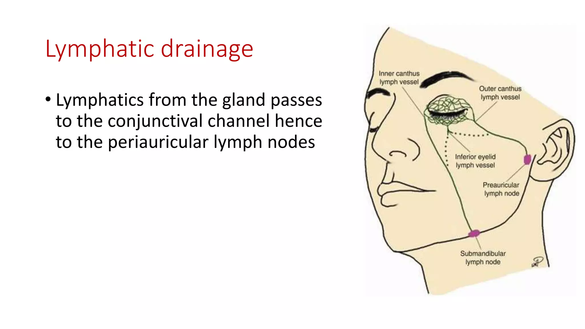 LACRIMAL APPARATUS- ANATOMY & PHYSIOLOGY | PPTX