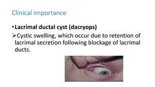 LACRIMAL APPARATUS- ANATOMY & PHYSIOLOGY | PPTX