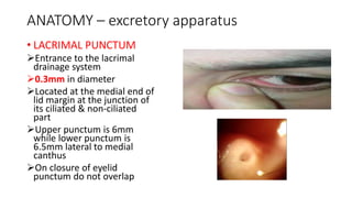 LACRIMAL APPARATUS- ANATOMY & PHYSIOLOGY | PPTX