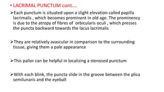 LACRIMAL APPARATUS- ANATOMY & PHYSIOLOGY | PPTX