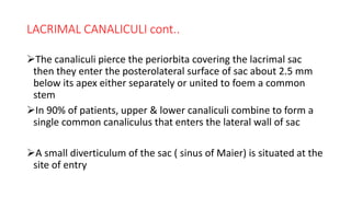 LACRIMAL APPARATUS- ANATOMY & PHYSIOLOGY | PPTX