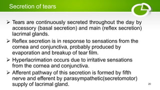 DETAILED ANATOMY OF LACRIMAL APPARATUS (2).pptx