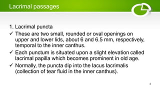 DETAILED ANATOMY OF LACRIMAL APPARATUS (2).pptx