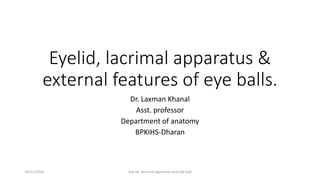 Lacrimal apparatus, eye lid and external features of eye ball. | PDF
