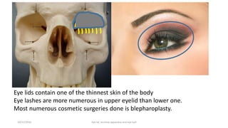 Lacrimal apparatus, eye lid and external features of eye ball. | PDF