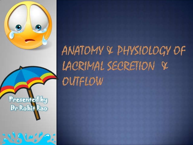 anatomy And Physiology of lacrimal secretions | PPT