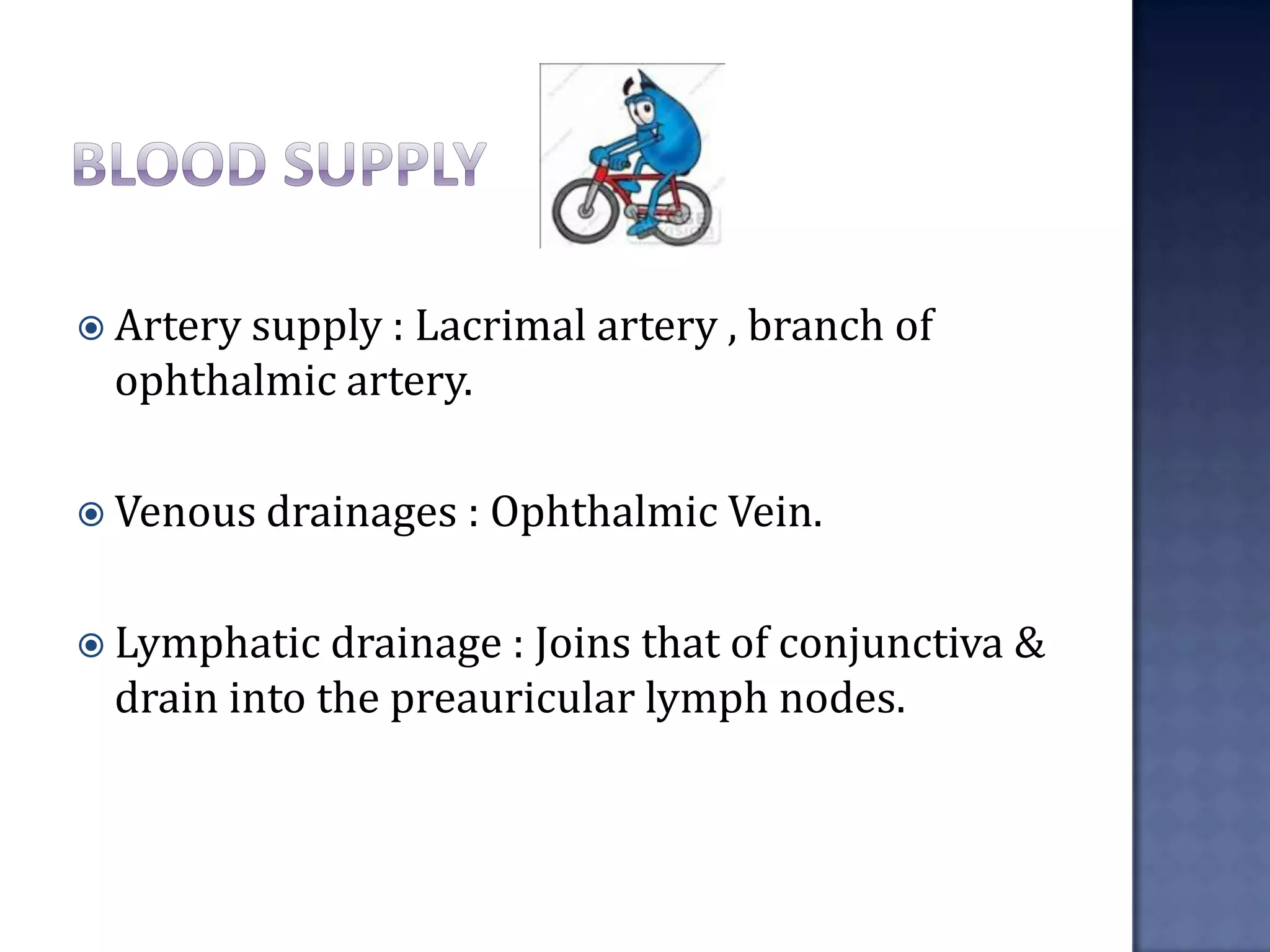 anatomy and physiology of lacrimal apparatus ppt | PPTX