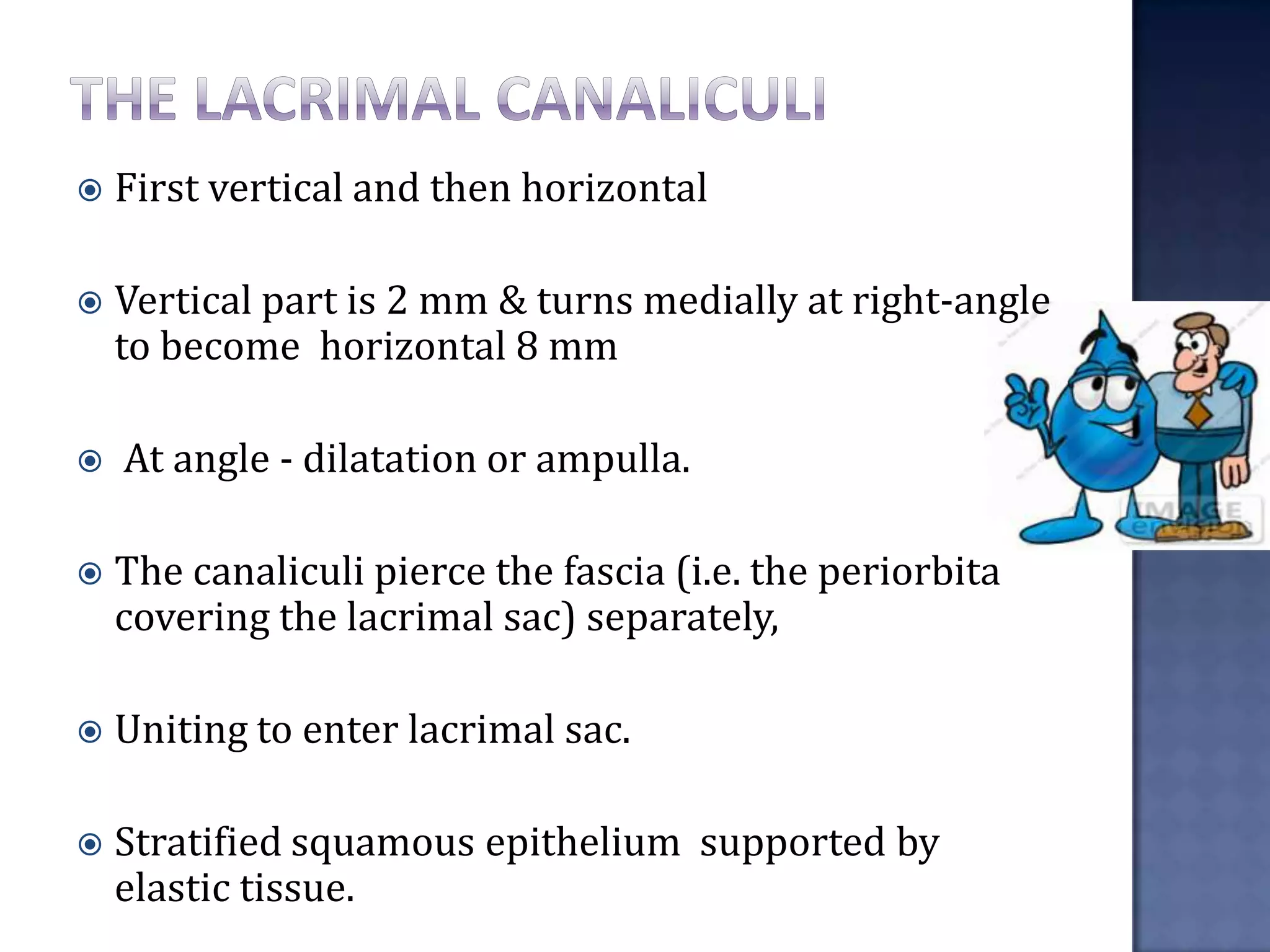 anatomy and physiology of lacrimal apparatus ppt | PPTX