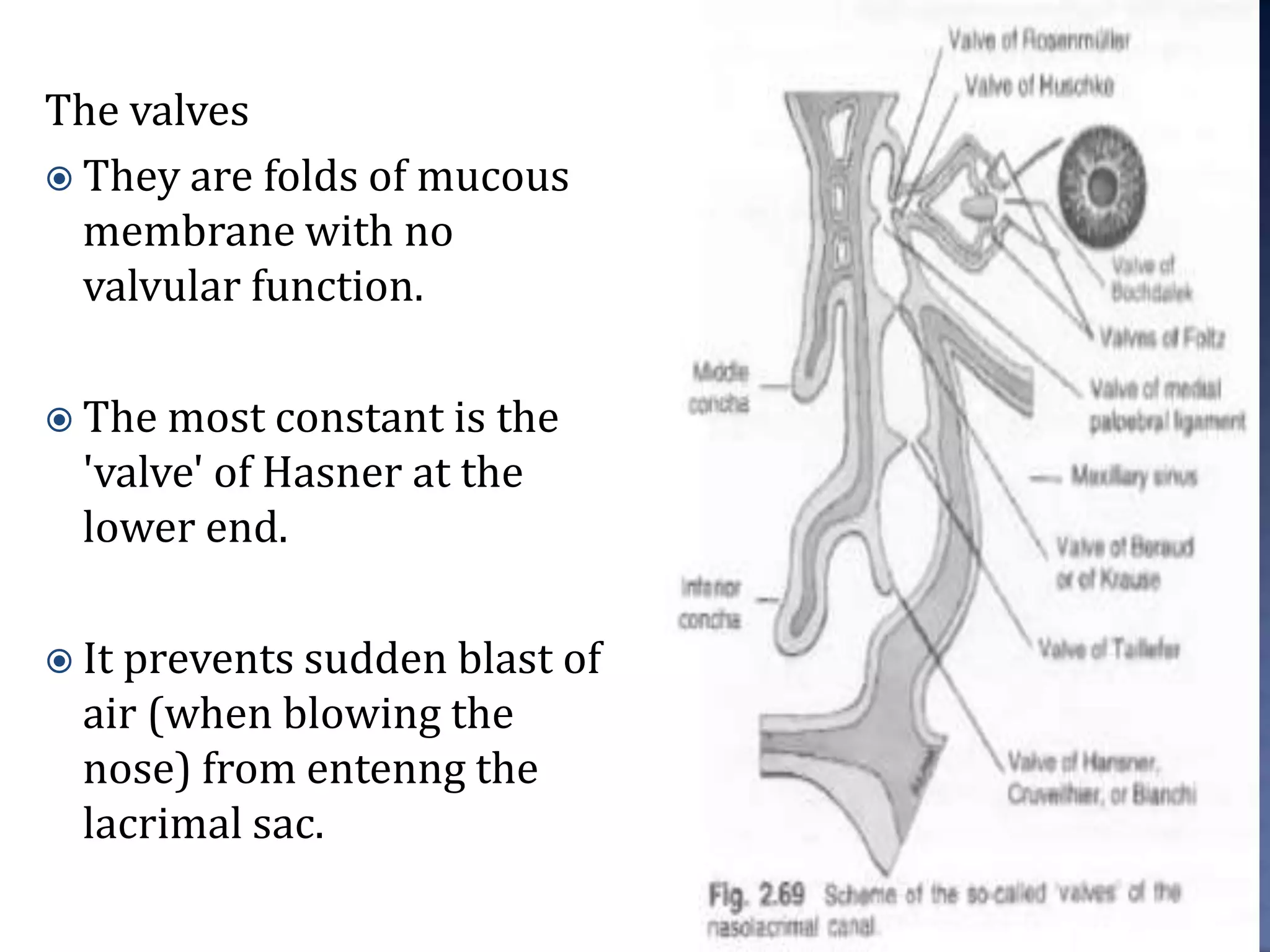 anatomy and physiology of lacrimal apparatus ppt | PPTX