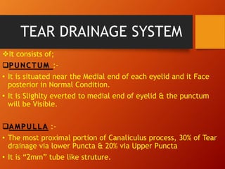 Lacrimal Apparatus | PPTX