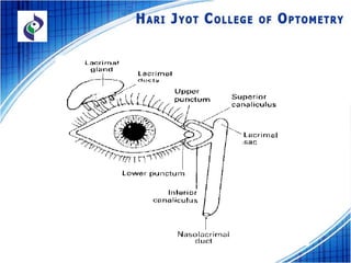 Lacrimal function test kapil | PPT