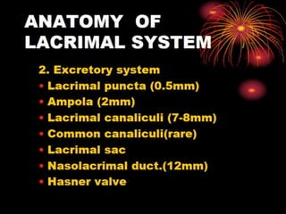 Lacrimal lecture pict by dr.abdul basir safi | PPT