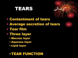 Lacrimal lecture pict by dr.abdul basir safi | PPTX