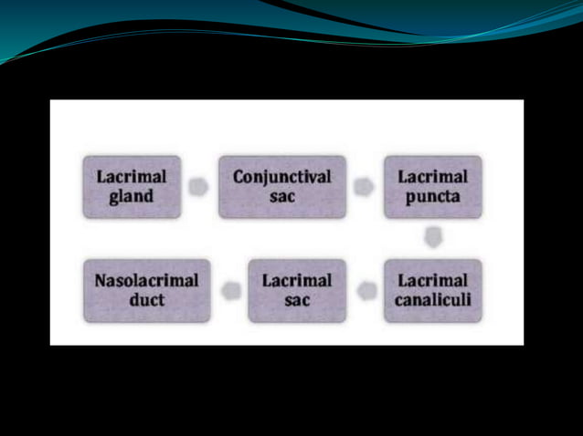 Lacrimal sac surgery | PPTX | Ear, Nose and Throat Conditions ...
