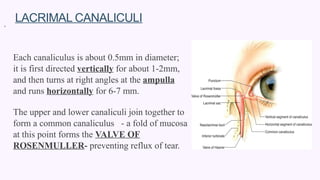 LACRIMAL sanskriti PPT (1) (2).pptxueieiebd | PPTX