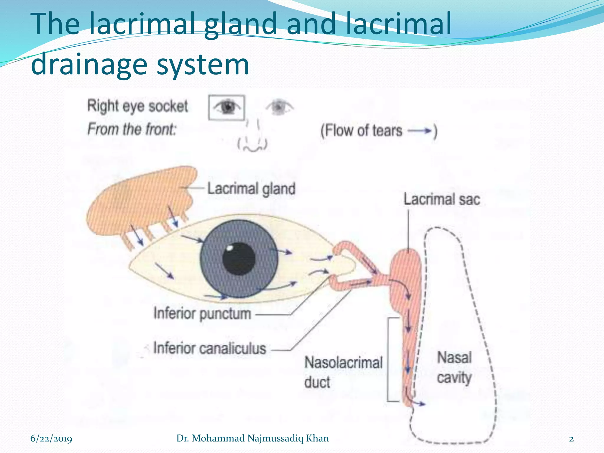 Lacrimal system | PPTX